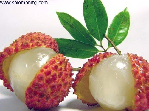 100% Natural Freeze Dried Lichee Flavor Powder - No pigment No addtives