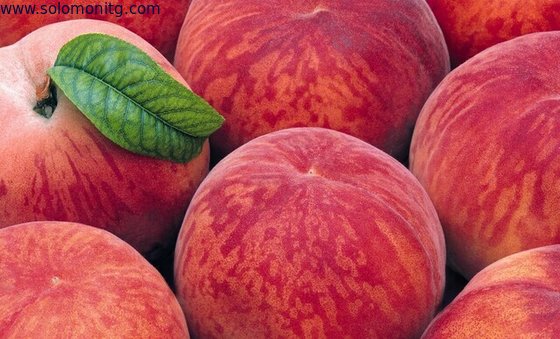 fruit powder fruit juice powder china supplier-factory price juicy peach flavor powder