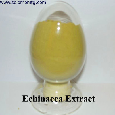 Pure Natural 1%-4% Cichoric Acid Echinacea Herb P.E.--100% echinacea purpurea extract in bulk