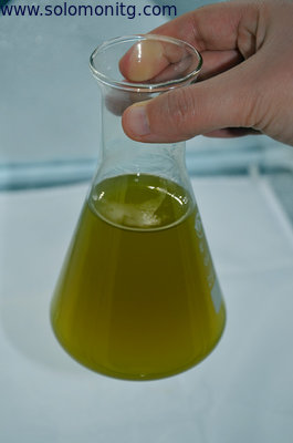 Pure Natural 1%-4% Cichoric Acid Echinacea Herb P.E.--100% echinacea purpurea extract in bulk