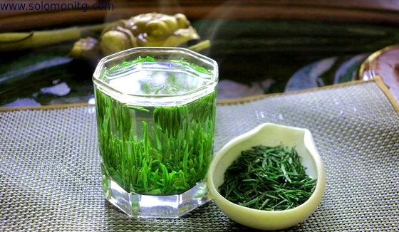 buy green tea: 2018 New Chinese Organic Green Tea-Hanzhong Maojian Superfine