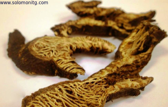 100% natural brown powder black cohosh extract 2.5%, 5% ,8% triterpene glycosides