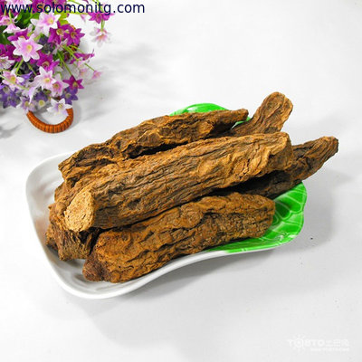 high quality cistanche deserticola extract --ratio extract(10:1,20:1)