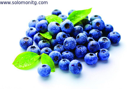 Natual GMO Free 25% Anthocyanosides Violet Fine Powder Vaccinium Myrtillus Extract