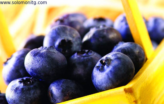 Factory Supply High Quality Chinese Bilberry Extract, European Bilberry Extract
