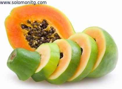 papaya seed powder free sample -- IlexChaenomeles lagenaria(Lolsel.) Koidz.