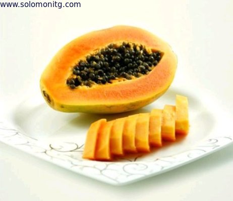 papaya seed powder free sample -- IlexChaenomeles lagenaria(Lolsel.) Koidz.