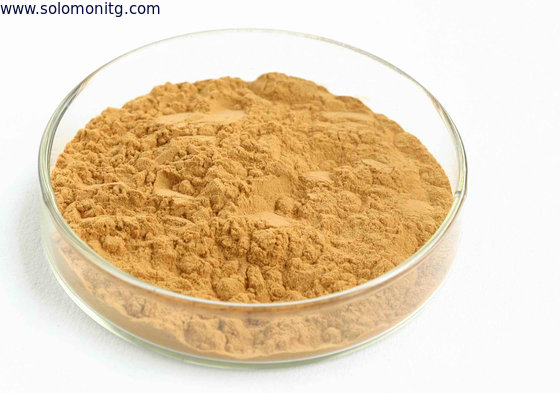 Organic Ginkgo Biloba Leaf Extract Powder/Flavones 24% Terpene Lactones 6%/Ginkgo Biloba Extract
