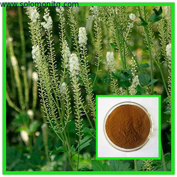 100% natural black cohosh powder black cohosh extract--Cimcifuga racemosa