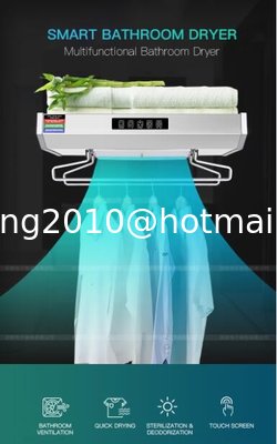 Bathroom smart clothes dryer newest and blank in market 800W silver color hotel clothes dryer