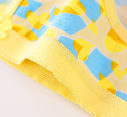 Funny Printing Nylon China Supplier Lady Underwear