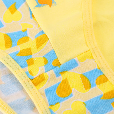 Funny Printing Nylon China Supplier Lady Underwear
