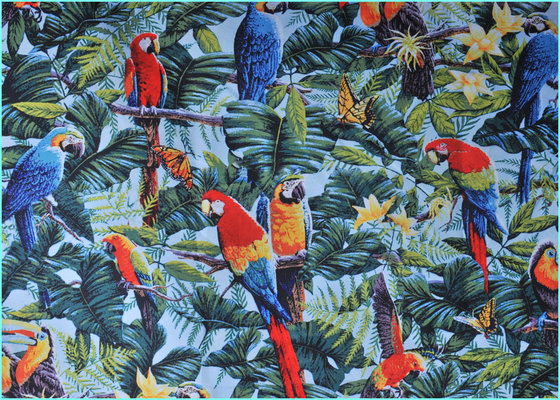 Parrot Nylon Lycra Printed Swimwear Fabric , Women Bathing Suit Fabric