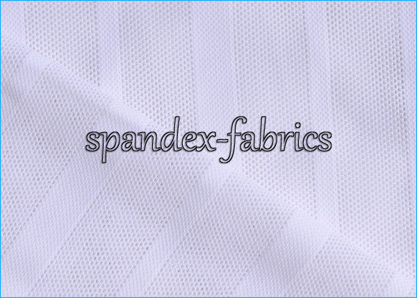 Sheer White Striped Power Net Mesh Fabric for Underpants