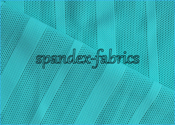 Stripe Jacquard Power Mesh Fabric