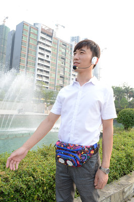 Runners Waist Pack  Waterproof Speaker Bag Purple or pink animal pattern Y-01