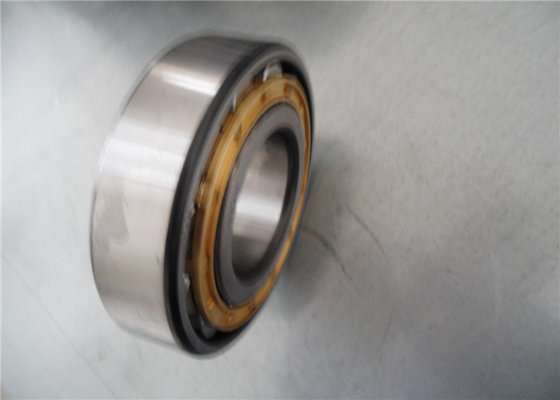 NU Type Cylindrical Roller Bearing P0 P6 Single Row For Paper Machinery