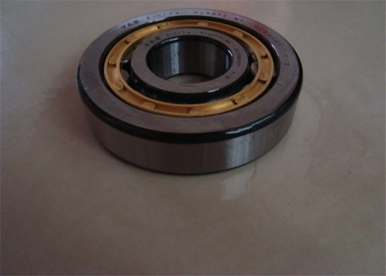 Double Row Full Complement Cylindrical Roller Bearing NJ407E.M1 For Automotive