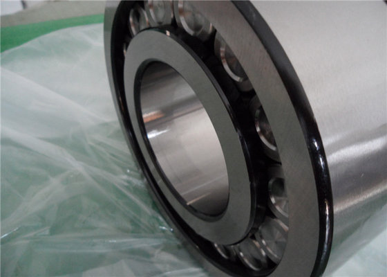 Chrome Steel Cylindrical Roller Bearing SL 183060 B/C3 With Metal / Brass Cage