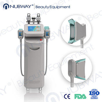 newest 5 handles fat freezing cryolipolysis slimming machine