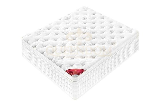 Vitality Colors,Multiple Sizes, Euro Top 11"Pocket Spring Mattress