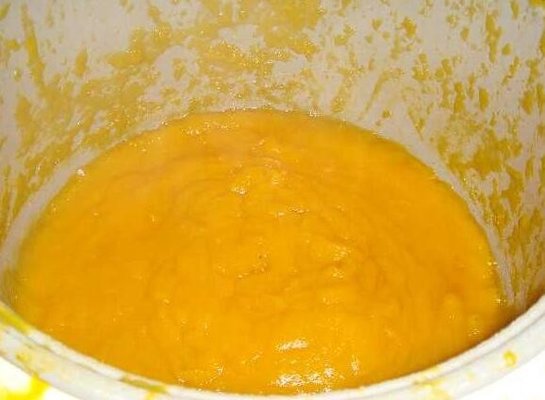 5ton Per Hour Mango Pulp Processing Line Aseptic Big Bag Packing