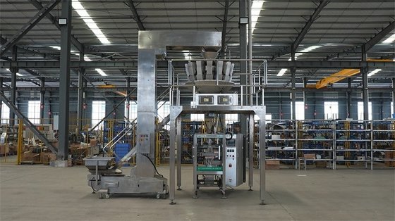 Stainless Steel Mango Processing Line with Customizable Features