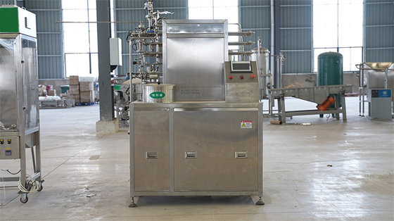 Stainless Steel Mango Processing Line for Reliable and High Capacity Production