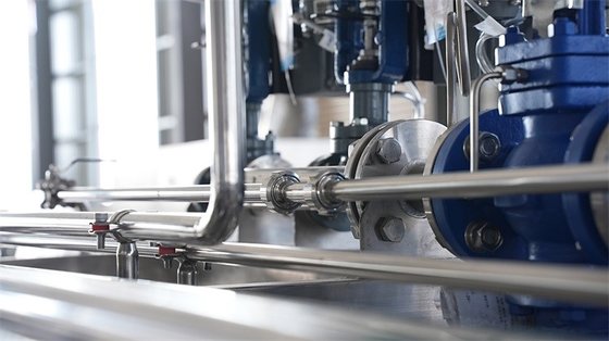Stainless Steel Mango Processing Line for Reliable and High Capacity Production