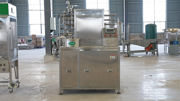 Stainless Steel Mango Processing Line for Reliable and High Capacity Production