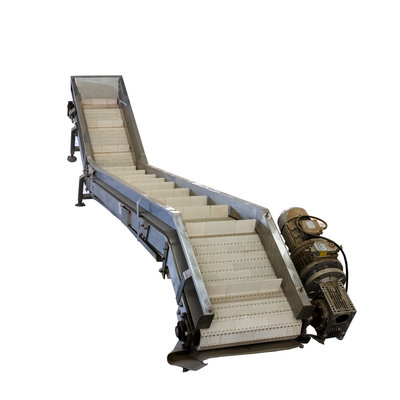 Sss Dried Fruit Line with Long Shelf Life and Packaging in Bags