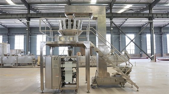 Sss Dried Fruit Line High-Speed Processing 1-100t/h