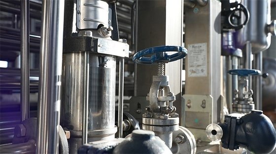 Customizable Mango Puree Plant with Stainless Steel Construction
