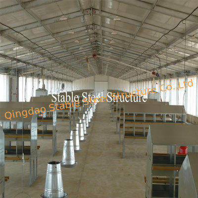 Fine Price Prefabricated Steel Poultry Farm Chicken with best design supplier