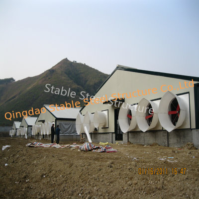 Structural Steel Poultry House for Pig or Goat Barns with high standard quality supplier