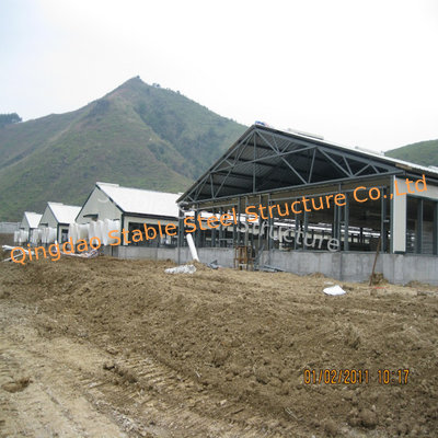 Structural Steel Poultry House for Pig or Goat Barns with high standard quality supplier