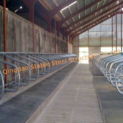 Low cost Cow Feeding Industry Steel Structure Shed with Modern Design supplier