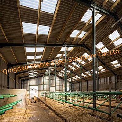 Low cost Cow Feeding Industry Steel Structure Shed with Modern Design supplier