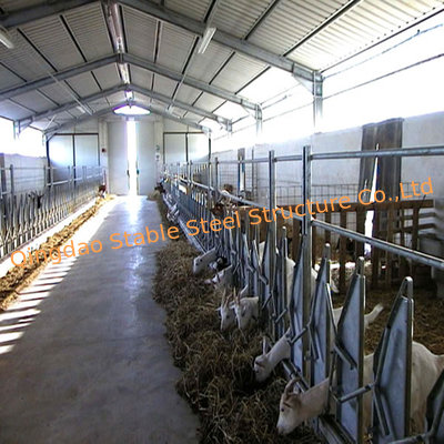 Low cost Cow Feeding Industry Steel Structure Shed with Modern Design supplier