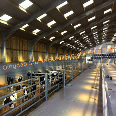 Low cost Cow Feeding Industry Steel Structure Shed with Modern Design supplier
