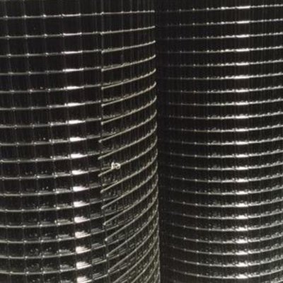 Black Welded Wire Mesh |Made by Low Carbon Wire 12bwg~27bwg with 1/4"~2"