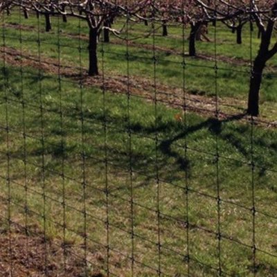Woven Wire Fence Roll|Called Non-Climb Security Fencing Mesh for Horse Cattle