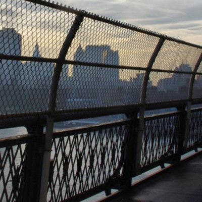 Bridge Fence|Anti-Throw Coated Driveway Bridge Wire Fencing 40x80mm Opening China