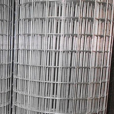 Hot Dipped Galvanized Welded Mesh|Square Opening	1/4~12Inch for Breeding or Mine Sieving