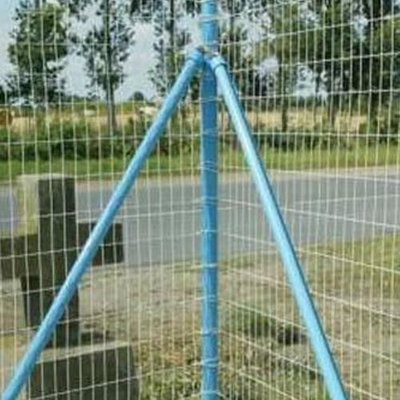 Euro Fence|Welded Wire Mesh Fencing 50x50mm by PVC Coated Wire