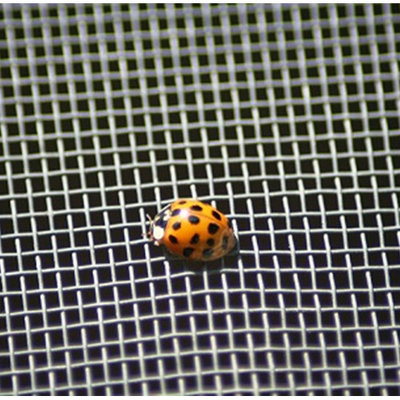 Stainless Steel Insect Screen Mesh|14~20 mesh by Stainless Steel Wire For Window/Door