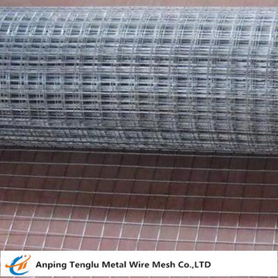 Hot Dipped Galvanized Welded Mesh|Square Opening	1/4~12Inch for Breeding or Mine Sieving