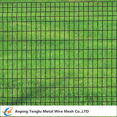 Euro Fence|Welded Wire Mesh Fencing 50x50mm by PVC Coated Wire