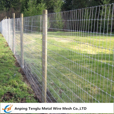 Galvanized Kraal Mesh Fence/Grasslanf Fence|Wire Fencing for Pasturing Area