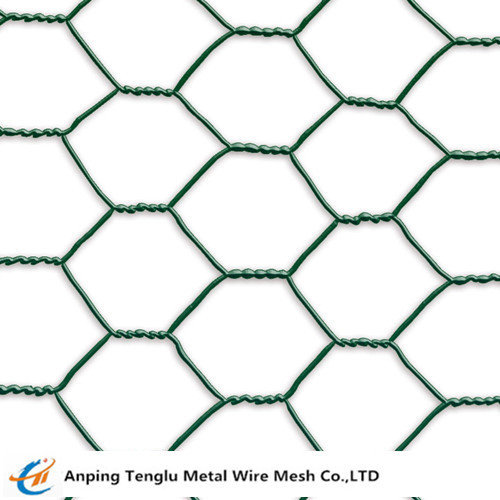 Green PVC Coated Chicken Wire|Hexagonal Hole 3/8" to 4"mesh for Poultry Fence